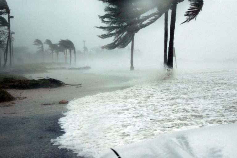 The Causes and Effects of Oceanic Natural Disasters on Our Environment ...