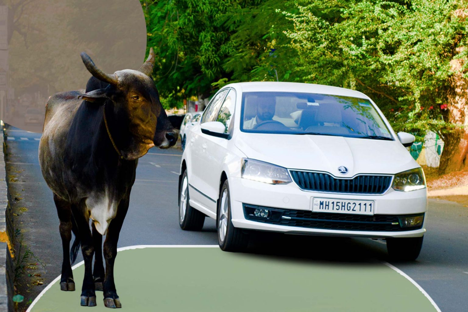 Cow Methane vs. Car Emissions — Is One Worse Than the Other ...