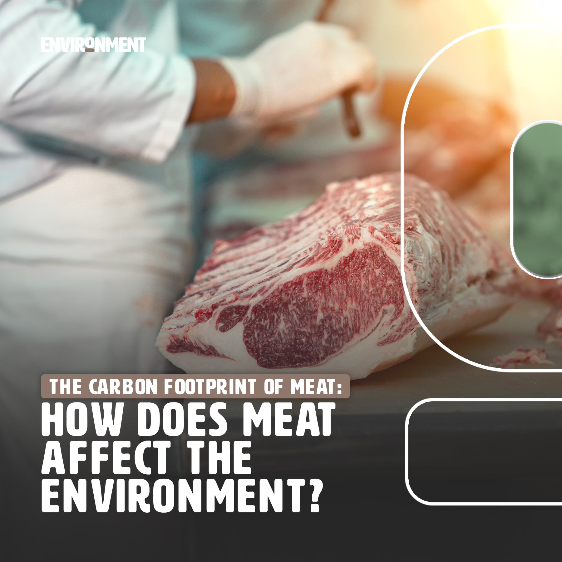 The Carbon Footprint of Meat: How Does Meat Affect the Environment ...