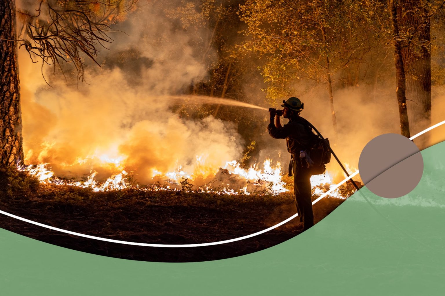 How Do Forest Fires Affect Climate Change? - Environment Co
