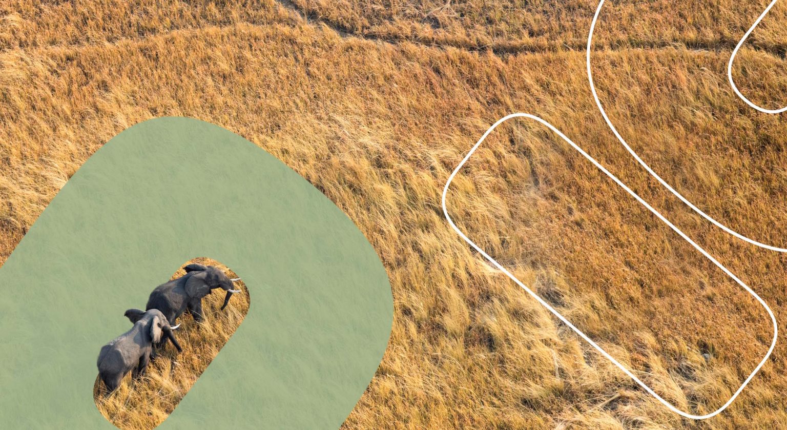 Life On Earth: 5 Types of Habitats - Environment Co