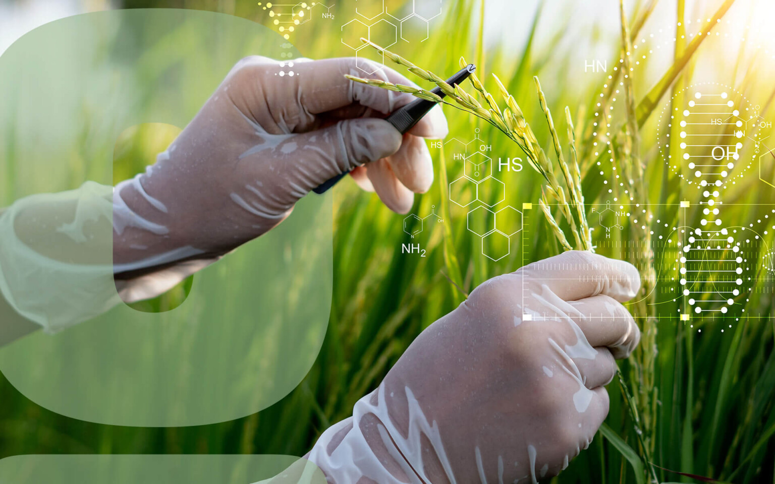 The Relationship Between GMOs and the Environment - Environment Co