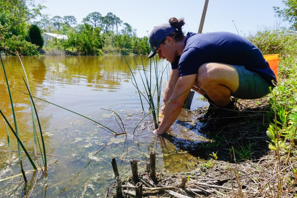 A Guide to Environmental College Majors - Environment Co