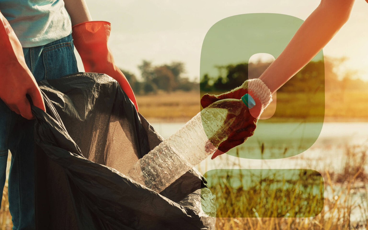 10 Endangered Species Solutions to Help Save Lives - Environment Co