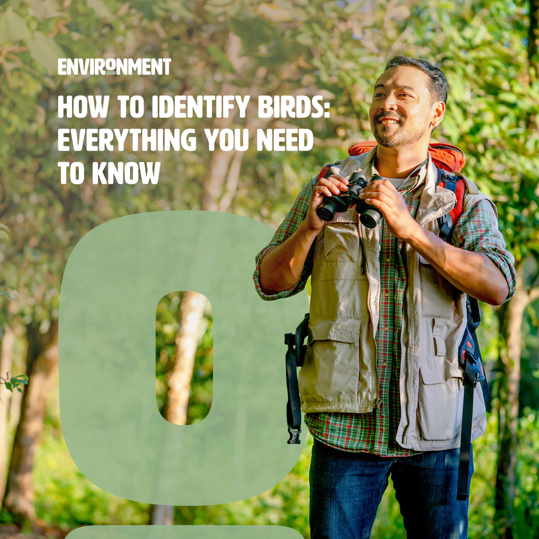 How to Identify Birds: Everything You Need to Know - Environment Co