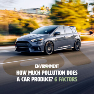 How Much Pollution Does a Car Produce? 6 Factors - Environment Co