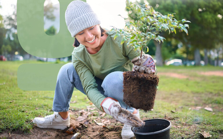 5 Ways To Join the Green Environment Movement - Environment Co