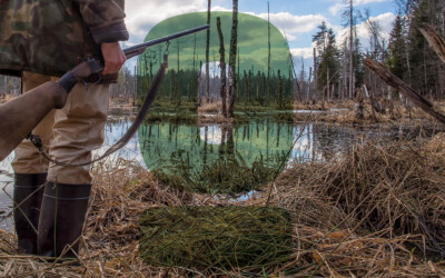 Overhunting Animals: Causes, Effects and Potential Solutions ...