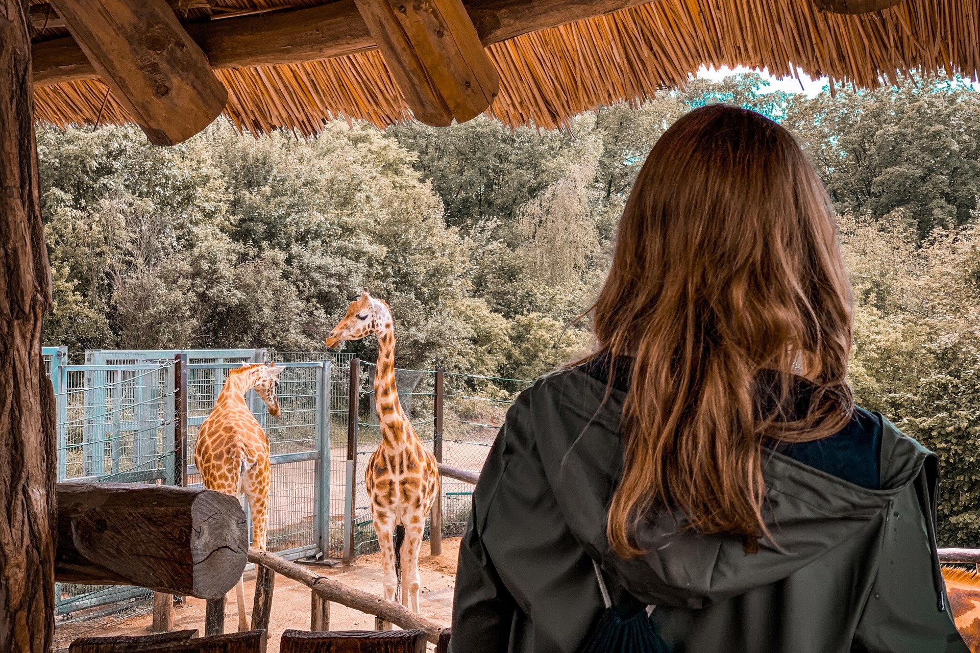 What Can You Do With A Zoology Degree Environment Co