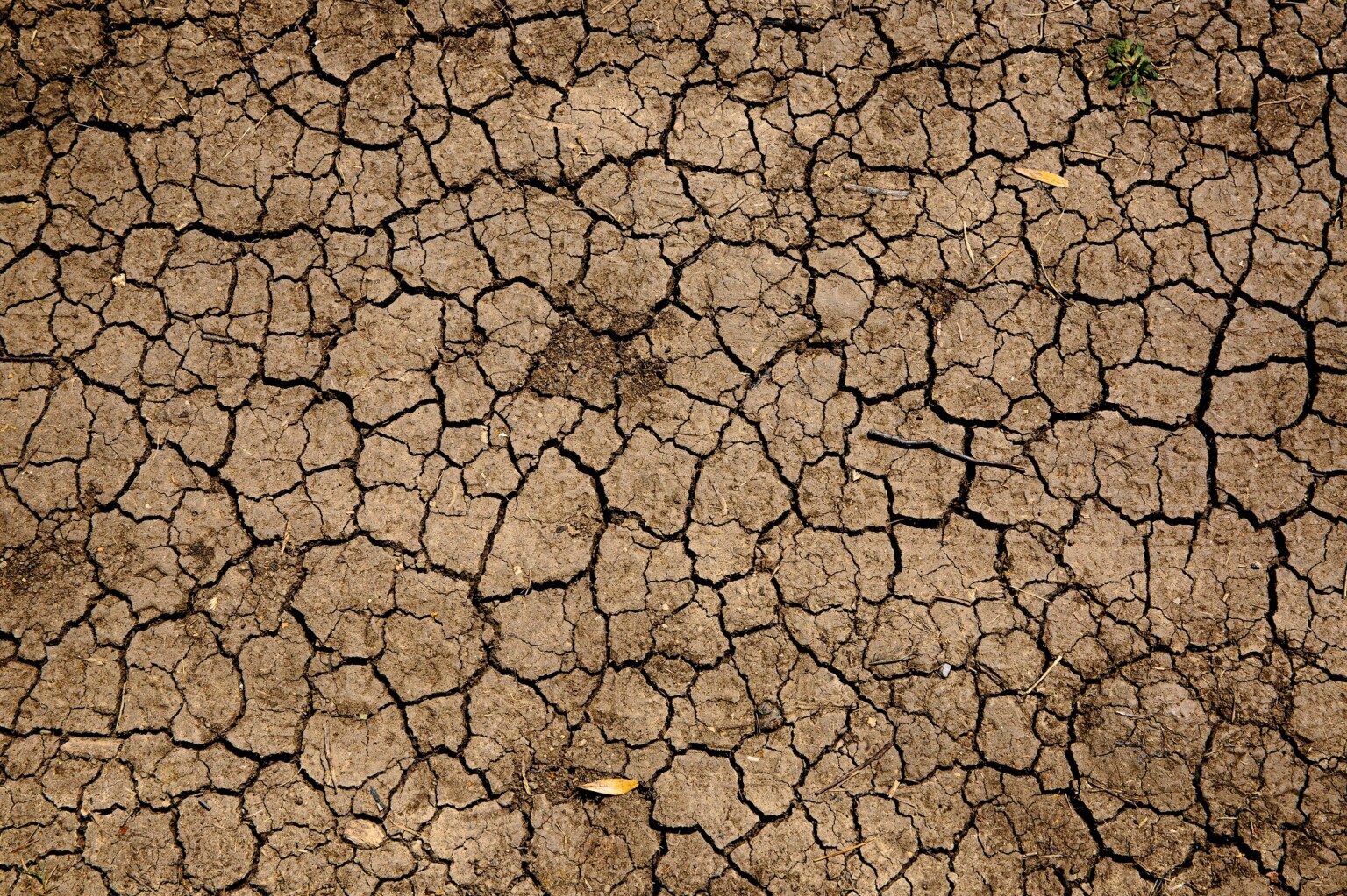 Is There a Solution for Drought? - Environment Co