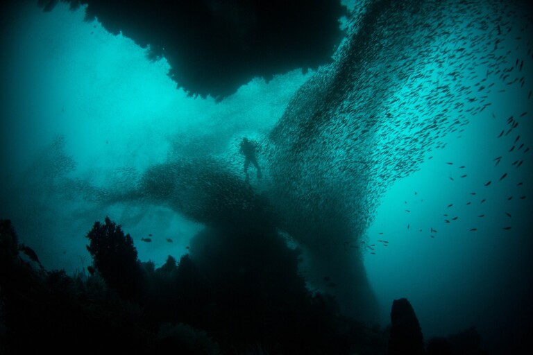 How Deep Is the Ocean Floor? Exploring the Abyssal Plain - Environment Co