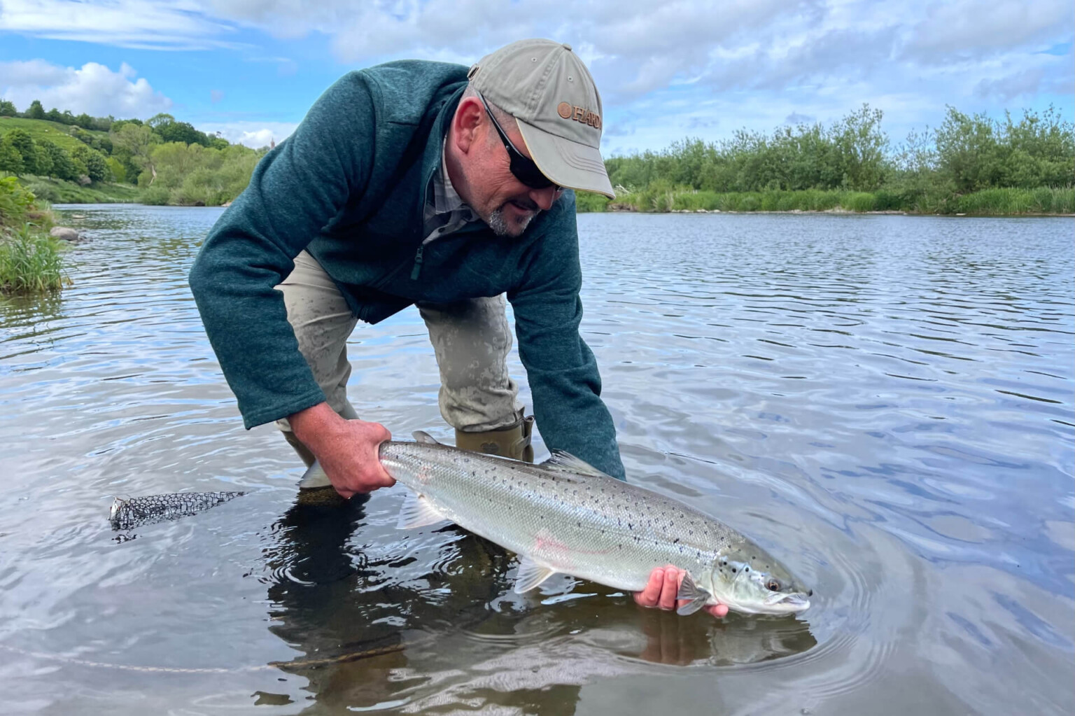 Atlantic Salmon: Lifecycle, Endangerment, and Preservation - Environment Co