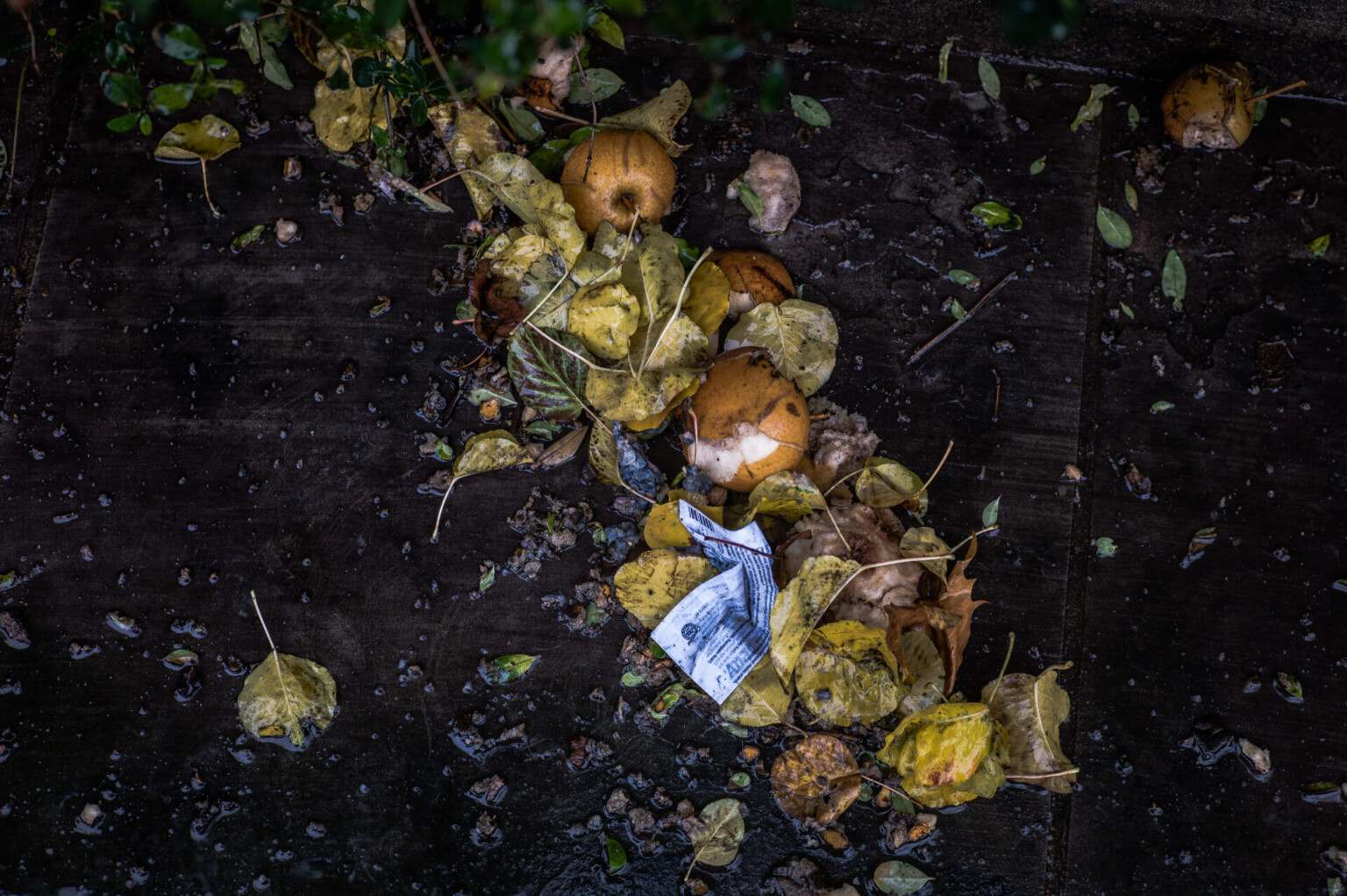 Brownfield vs. Superfund: Contaminated Sites Defined - Environment Co