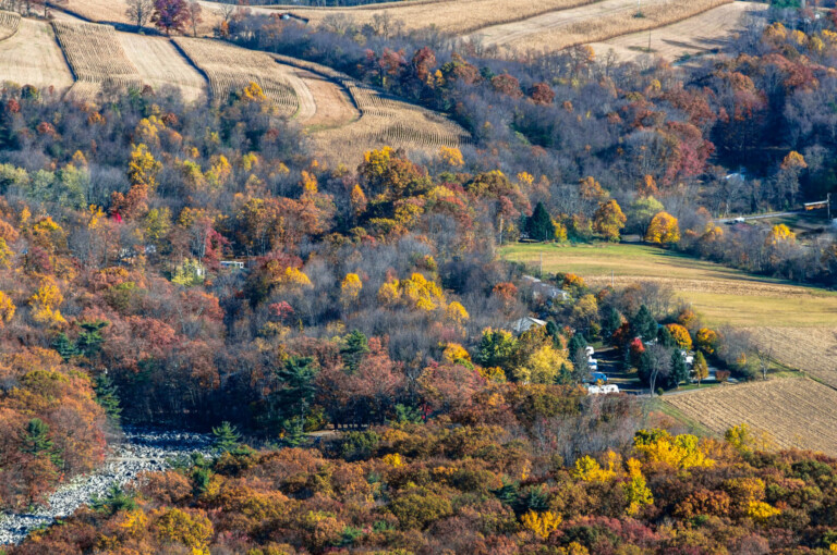 When Does Fall Start? FAQs About the Most Colorful Season - Environment Co